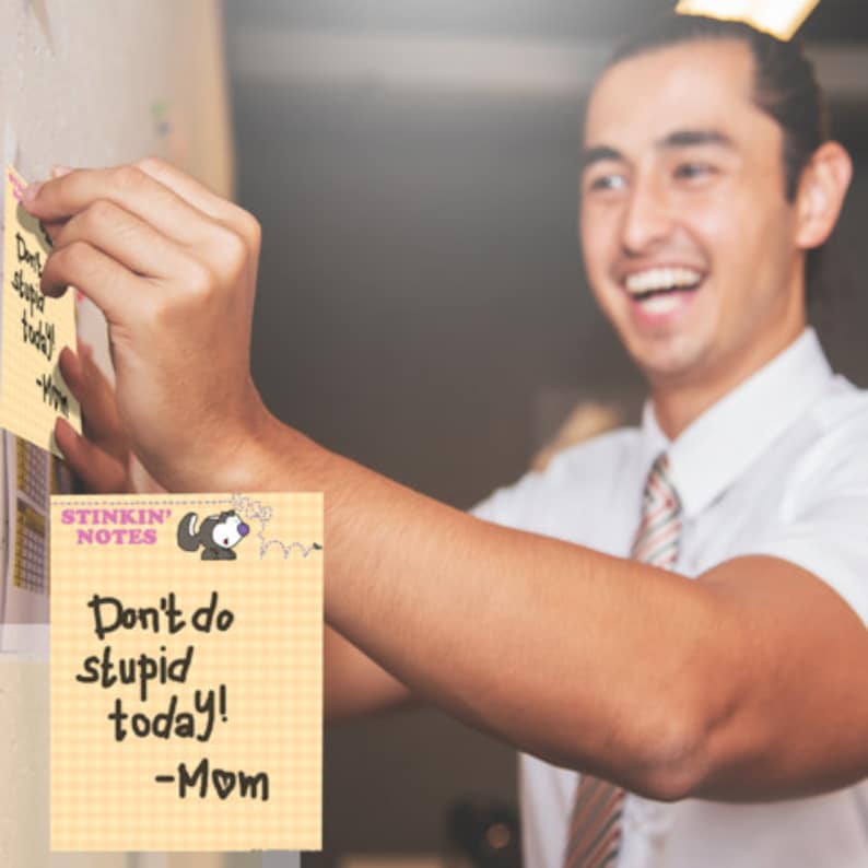 Assorted Funny Notepads A Set of 4 Humorous Pads 619 - Etsy