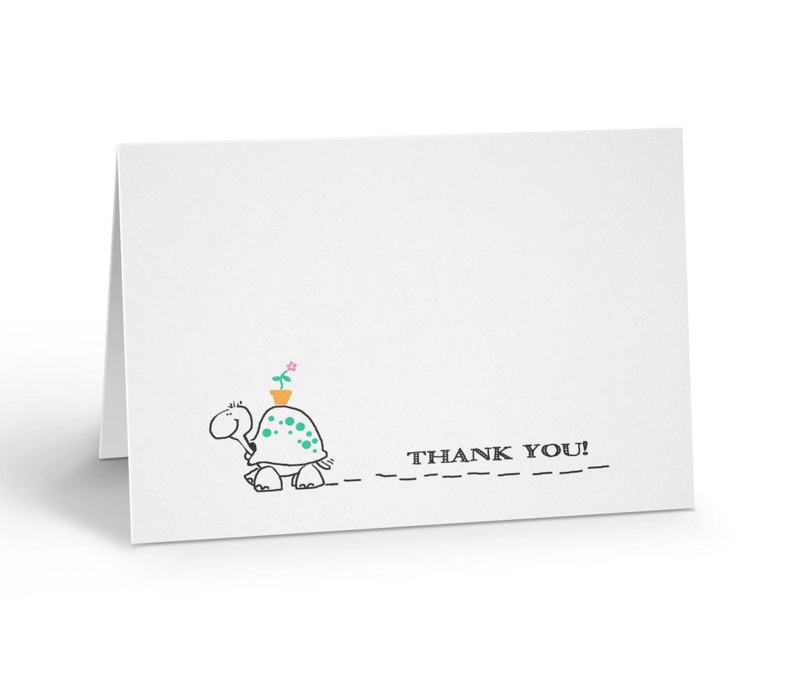 Adorable Turtle Thank You Note Cards - 10 Cards With Envelopes - 4.25 X ...