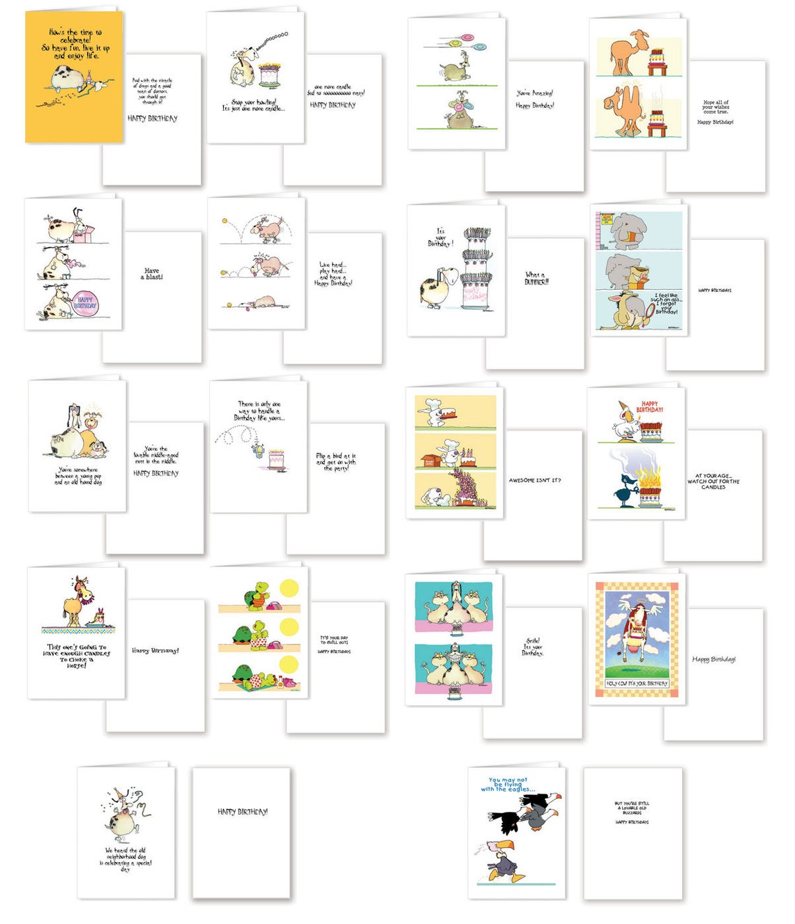 Assorted Funny Birthday Card Pack 18 Boxed Funny Cards & - Etsy