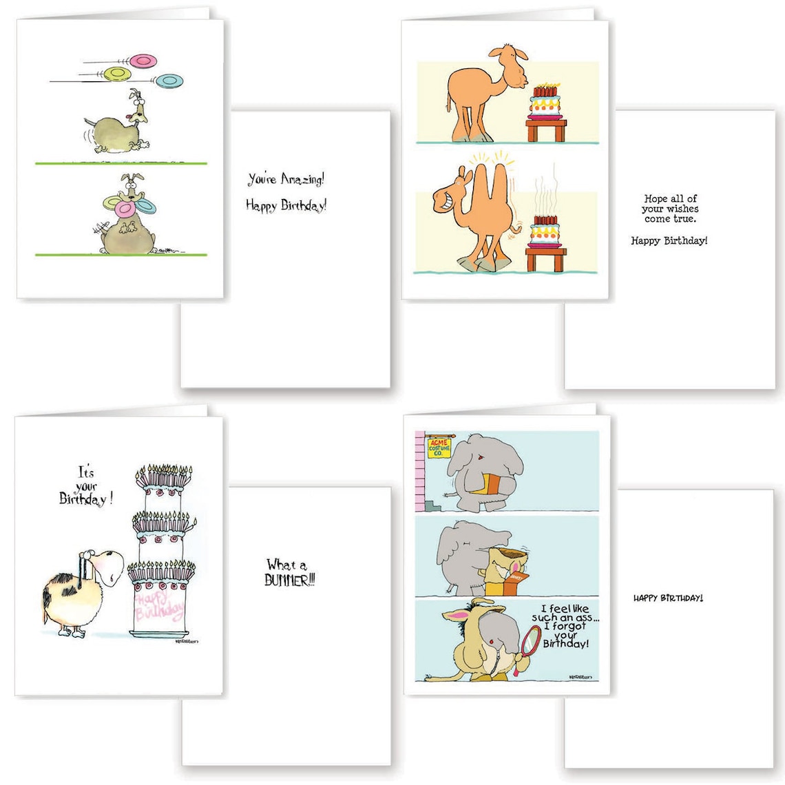 Assorted Funny Birthday Card Pack 18 Boxed Funny Cards & - Etsy