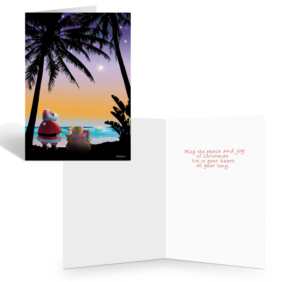 Tropical Christmas Card Variety Pack - 15 Assorted Beach Cards ...