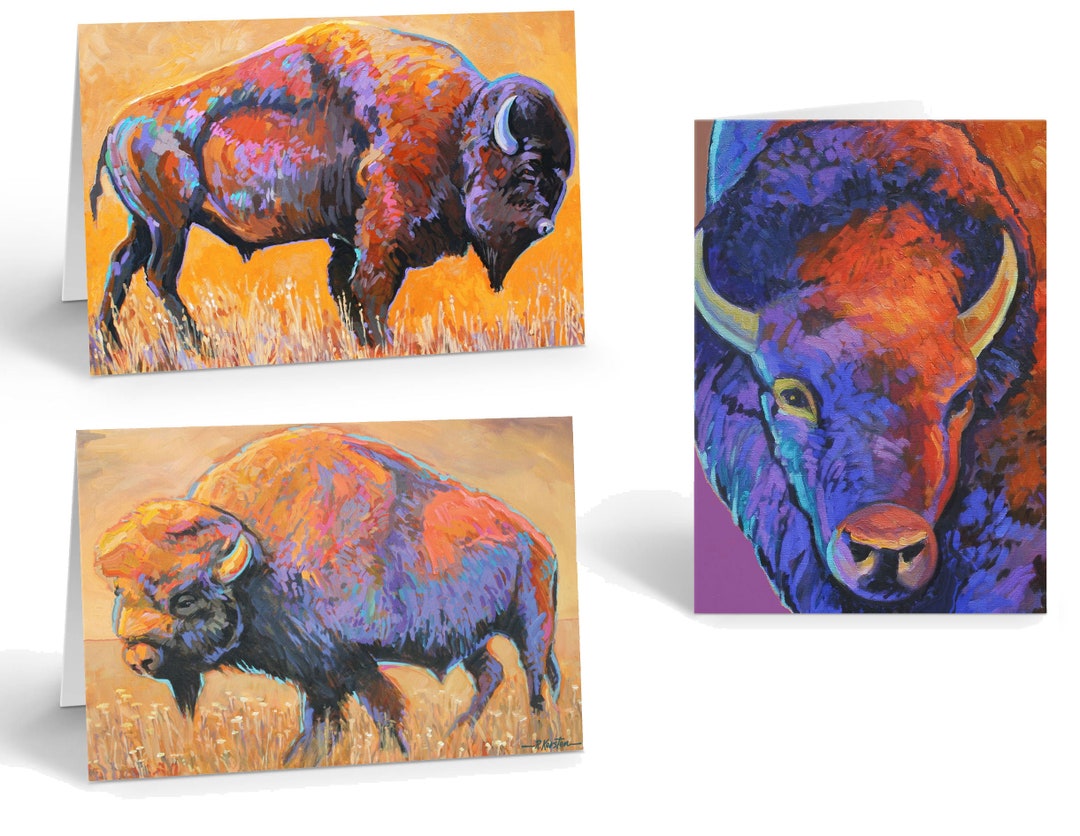 Variety of Buffalo Note Cards - 12 Boxed Cards & Envelopes - Note Card ...