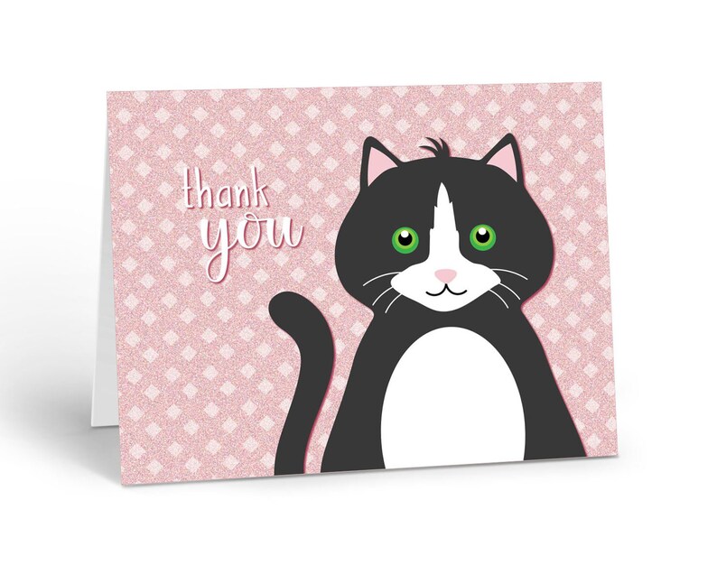 Assorted Cat Thank You Note Card - 12 Thank You Note Cards and ...
