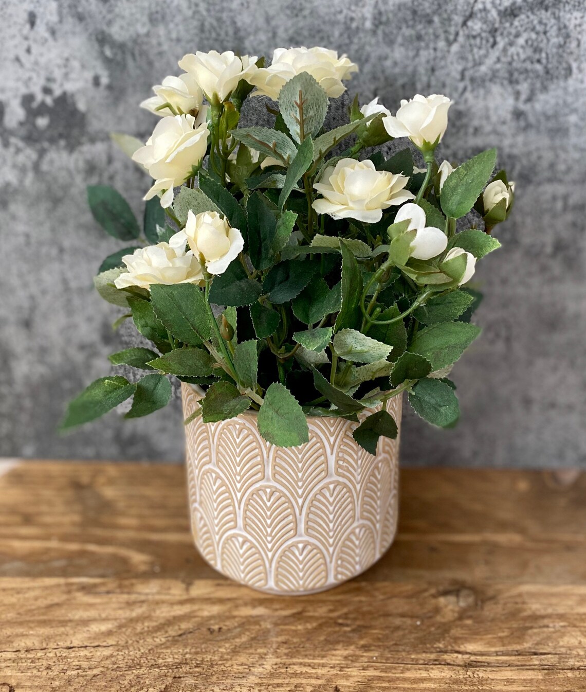Small Retro Beige Textured Ceramic plant pot cover Succulent | Etsy
