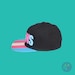 Transgender Pride Snapback Hat Transgender Hat, Trans Hat, Trans Pride ...
