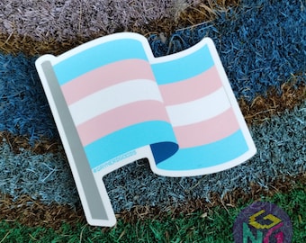 10 Pack of A Trans Person Peed Here Stickers, Transgender, Nonbinary ...