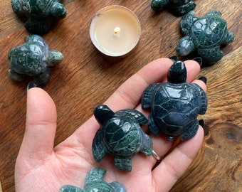 Turtle Medicine | Etsy