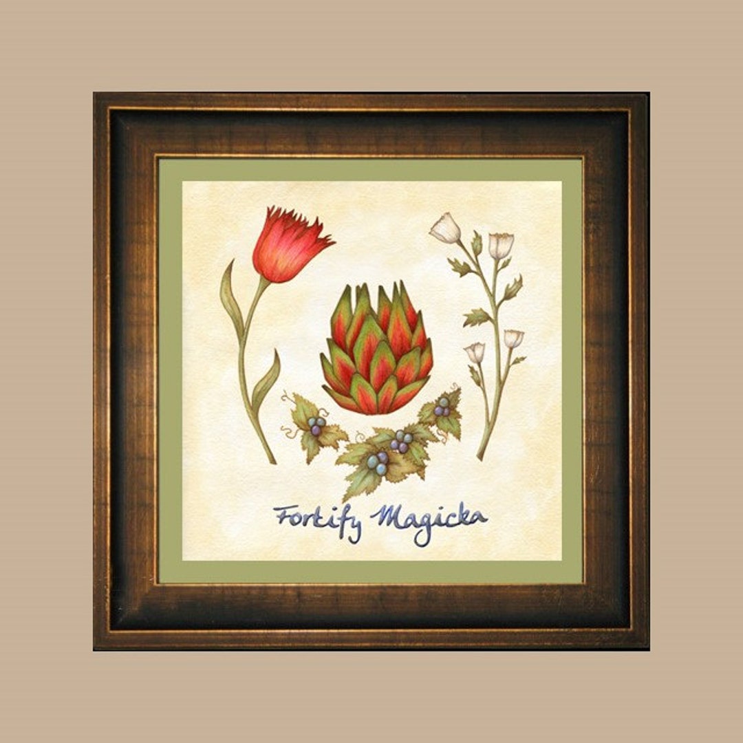 Fortify Magicka - Skyrim Red Mountain Flower, Tundra Cotton, Jazbay ...