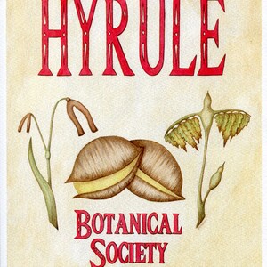 Hyrule Botanical Society - Legend of Zelda Art Print - Vintage ...