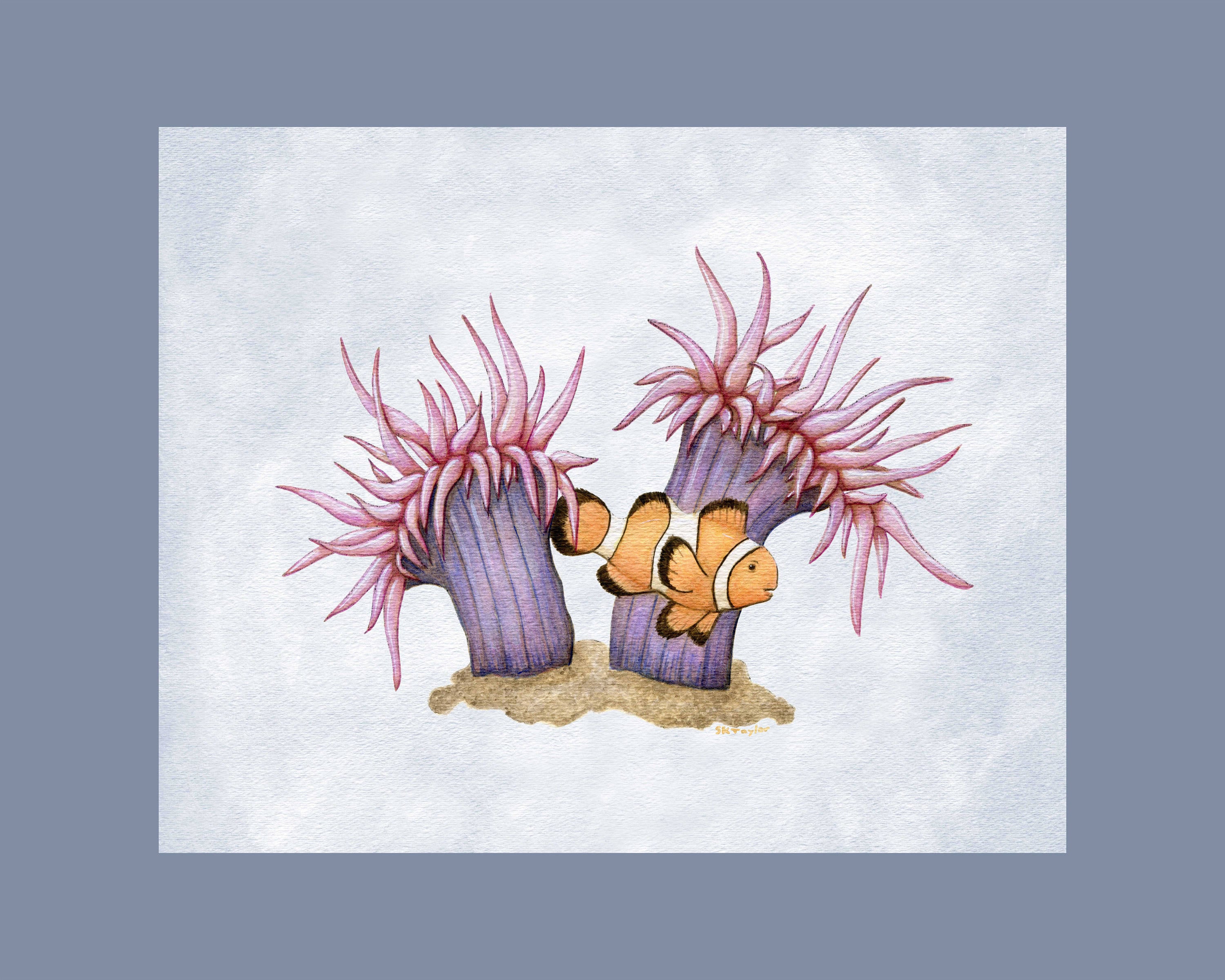 Finding Nemo Anemone Costume