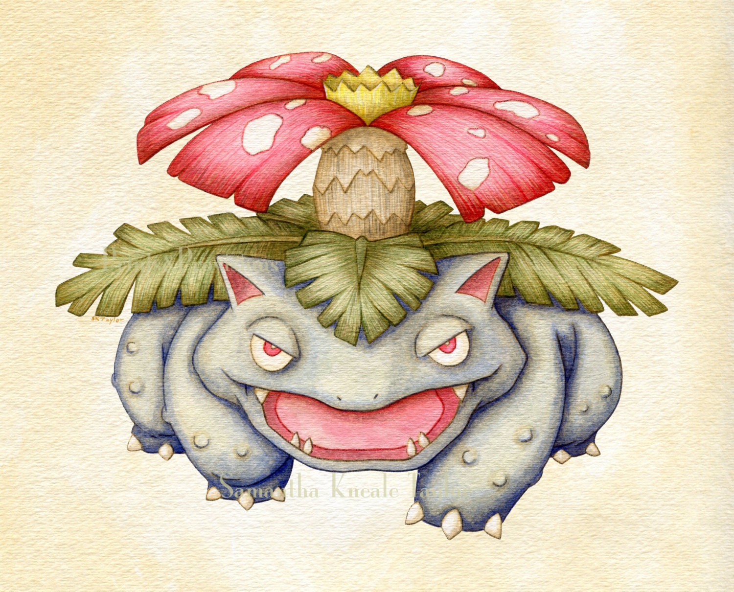 Venusaur Drawing