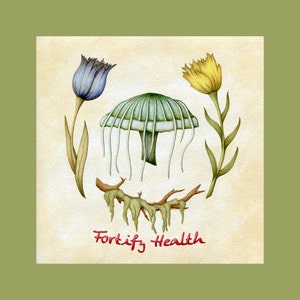 Fortify Magicka - Skyrim Red Mountain Flower, Tundra Cotton, Jazbay ...