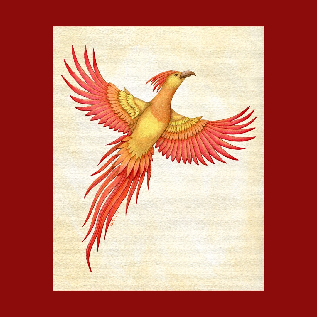 Phoenix Art Print - Scientific Illustration Vintage Inspired Original ...
