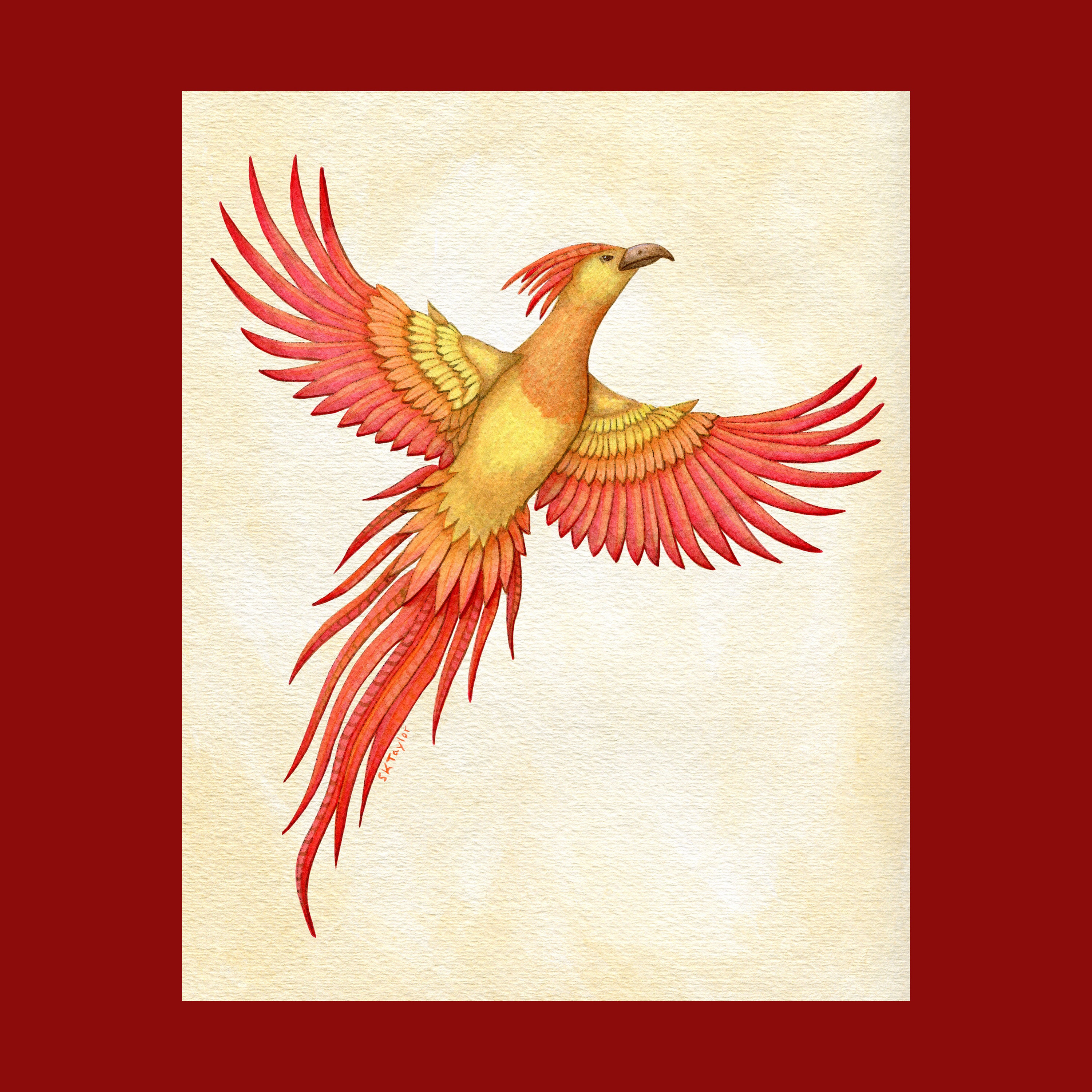 Phoenix Art Print Scientific Illustration Vintage Inspired | Etsy