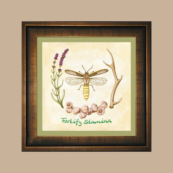 Fortify Stamina Skyrim Lavender Torchbug Garlic Antler Etsy fortify-stamina-skyrim-lavender-torchbug-garlic-antler-etsy