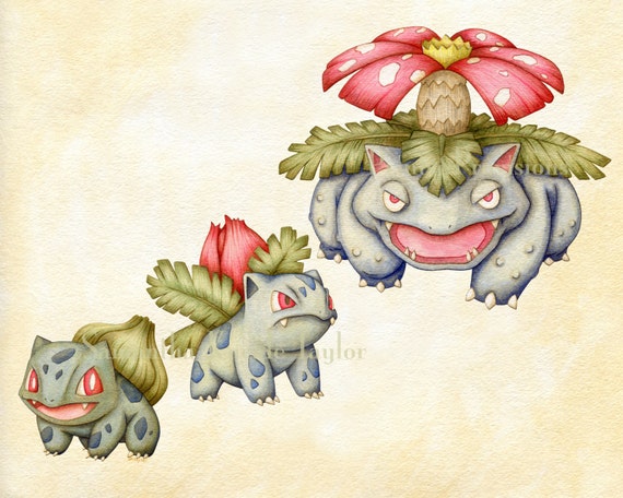 Pokemon Evolution Bulbasaur