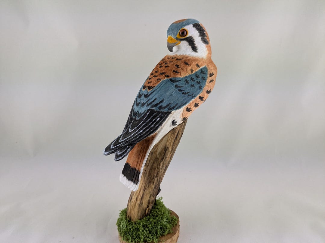 American Kestrel Bird Wood Carving, Sparrow Hawk Wood Decor, 5th ...