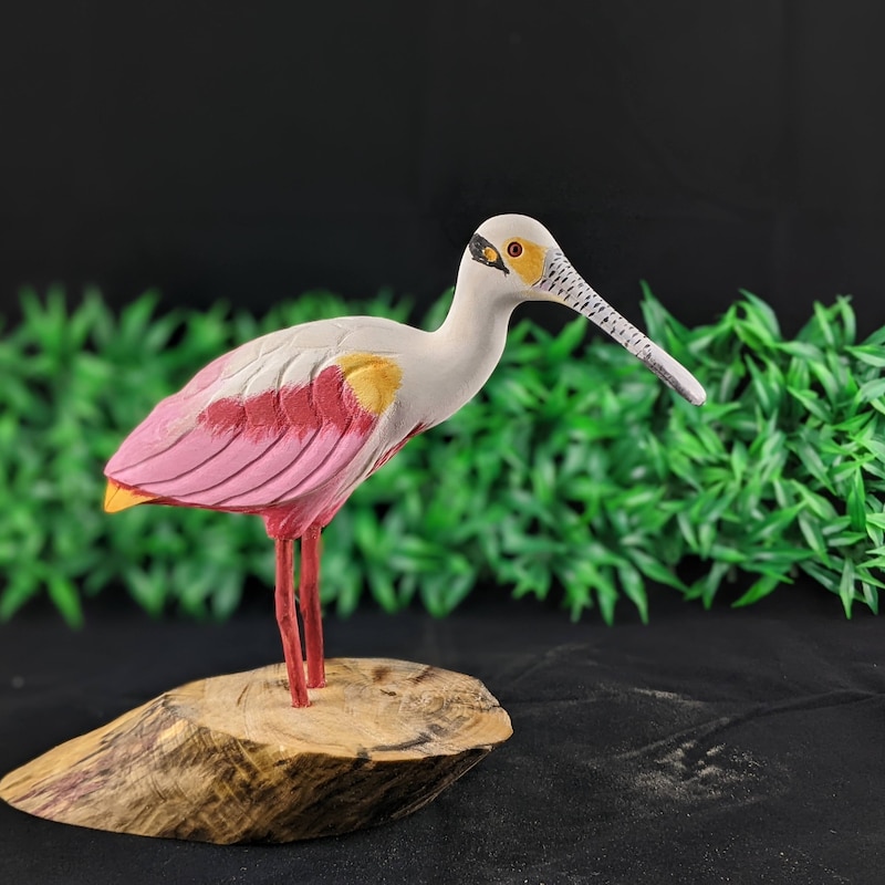 Roseate Spoonbill - Etsy