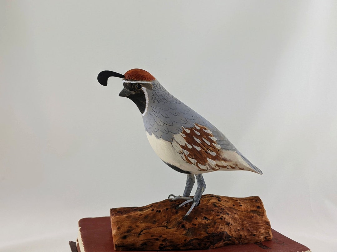Gambel Quail Wood Carving, Desert Bird Sculpture, Hand Carved Quail ...
