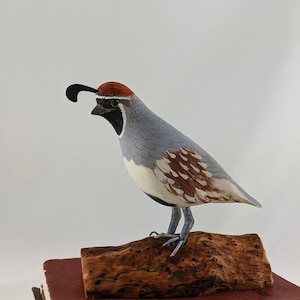 Gambel Quail Wood Carving, Desert Bird Sculpture, Hand Carved Quail ...