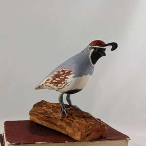 Gambel Quail Wood Carving, Desert Bird Sculpture, Hand Carved Quail ...