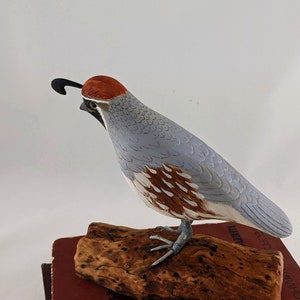 Gambel Quail Wood Carving, Desert Bird Sculpture, Hand Carved Quail ...