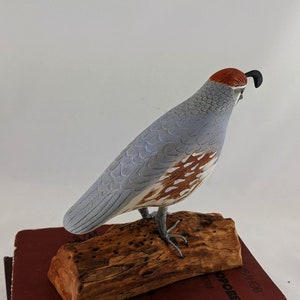 Gambel Quail Wood Carving, Desert Bird Sculpture, Hand Carved Quail ...