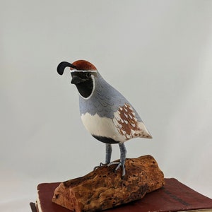 Gambel Quail Wood Carving, Desert Bird Sculpture, Hand Carved Quail ...