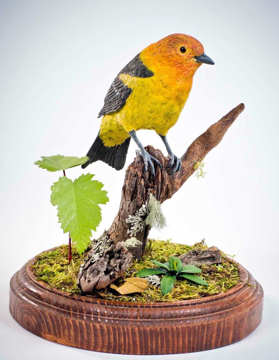 Hand Carved and Painted Wood Western Tanager Songbird. Premium ...