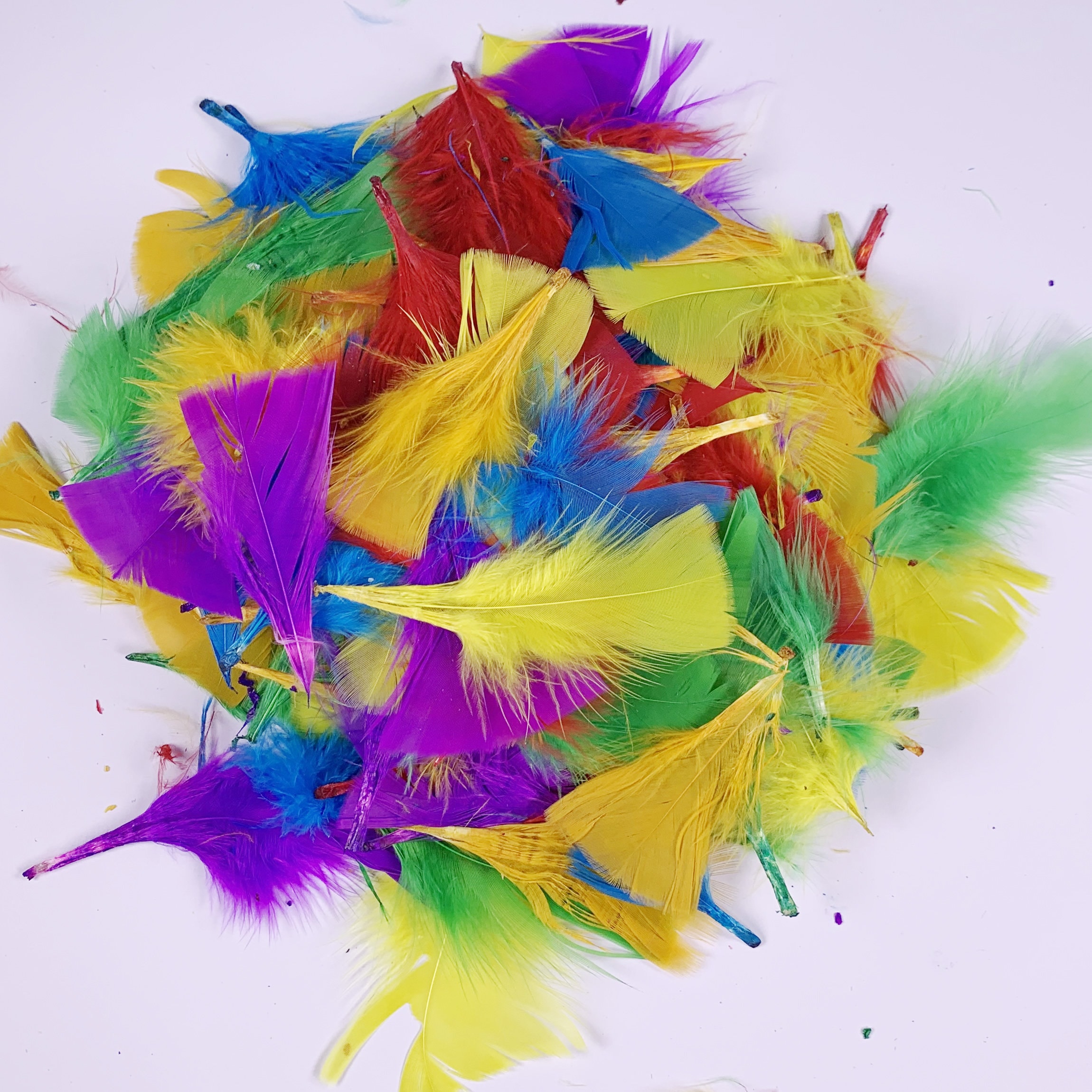Coloured Craft Feathers Fluffy Colourful Mixed Pack for Crafts - Etsy UK