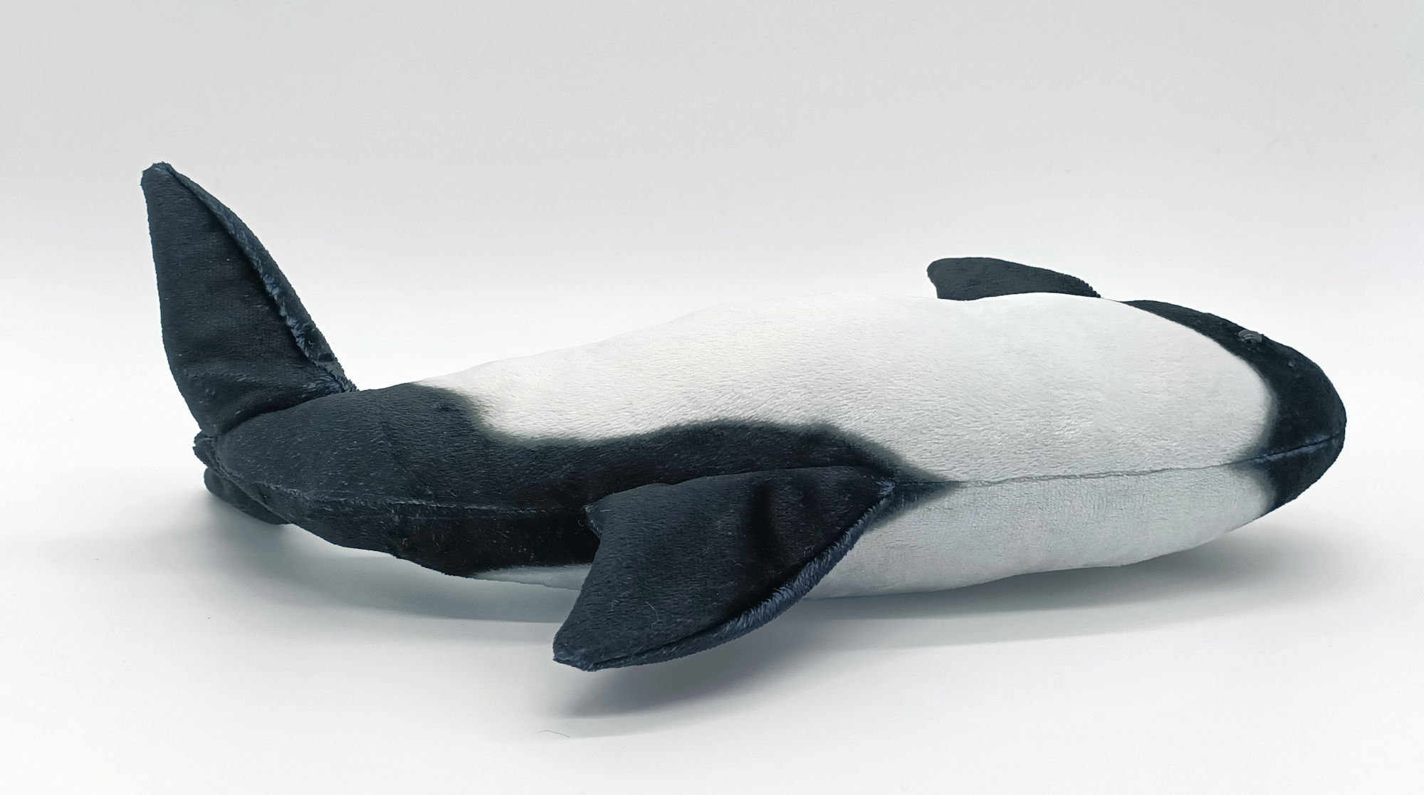 Commerson's Dolphin Plushie Panda Dolphin | Etsy
