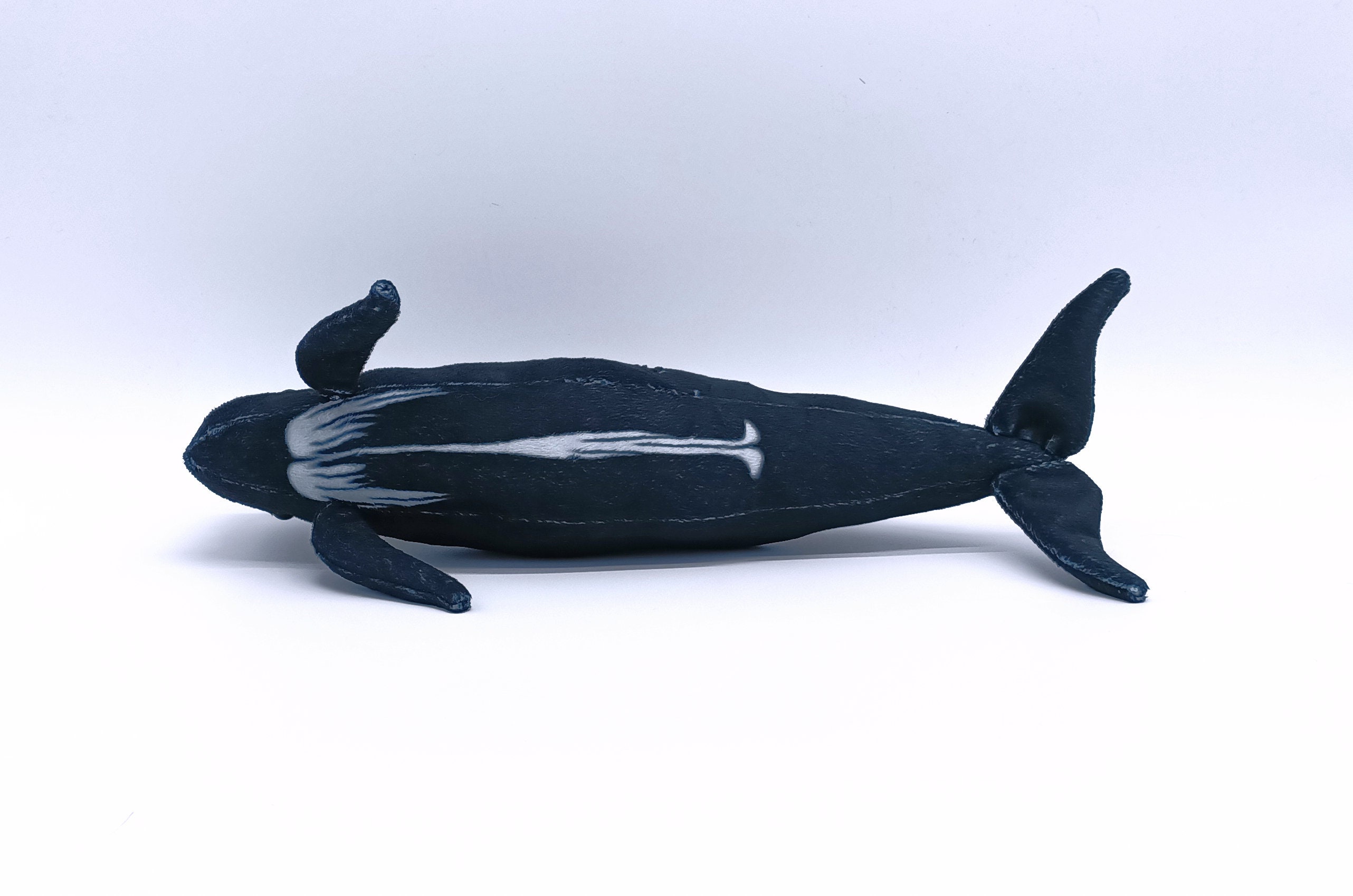 Two Pilot Whale Plushies / Stuffed Long-finned and | Etsy