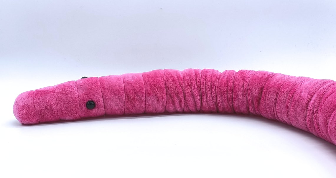 Large Earthworm Plush - Etsy UK