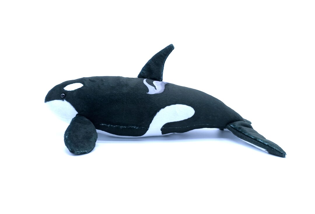 Springer the Orca Plushie Killer Whale Plush A73 - Etsy