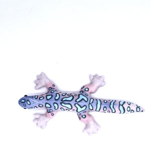 Magic Gecko Plush, Fantasy Gecko, Turquoise Lizard Plushie, Cute Gecko ...
