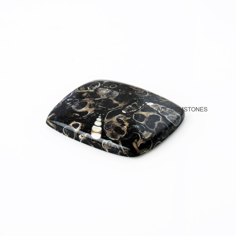 Turtella 31x37mm Rounded Rectangle Cabochons Gemstone | Etsy