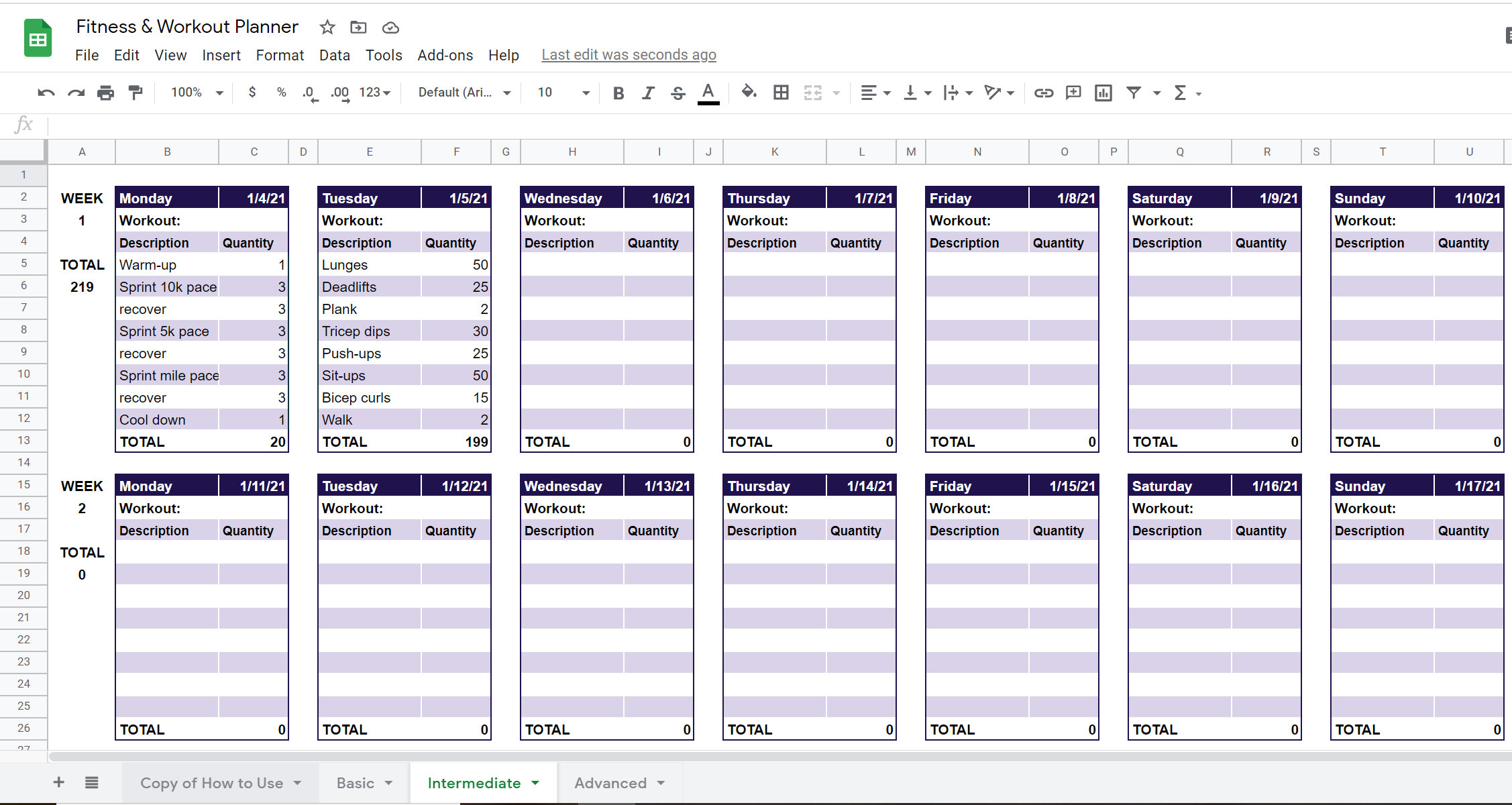 Fitness & Workout Spreadsheet Planner and Tracker - Google Doc Excel ...