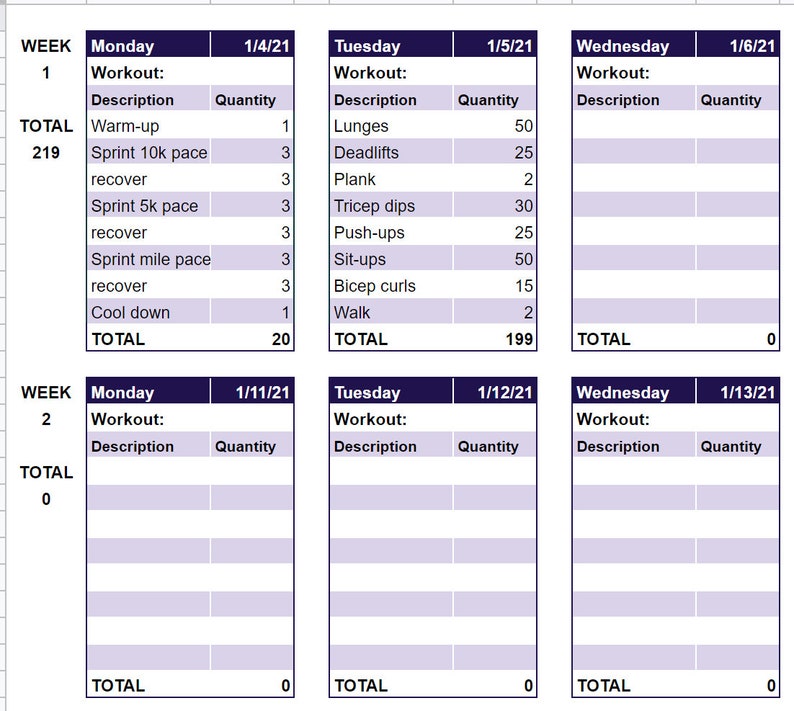 Fitness & Workout Spreadsheet Planner and Tracker - Google Doc Excel ...