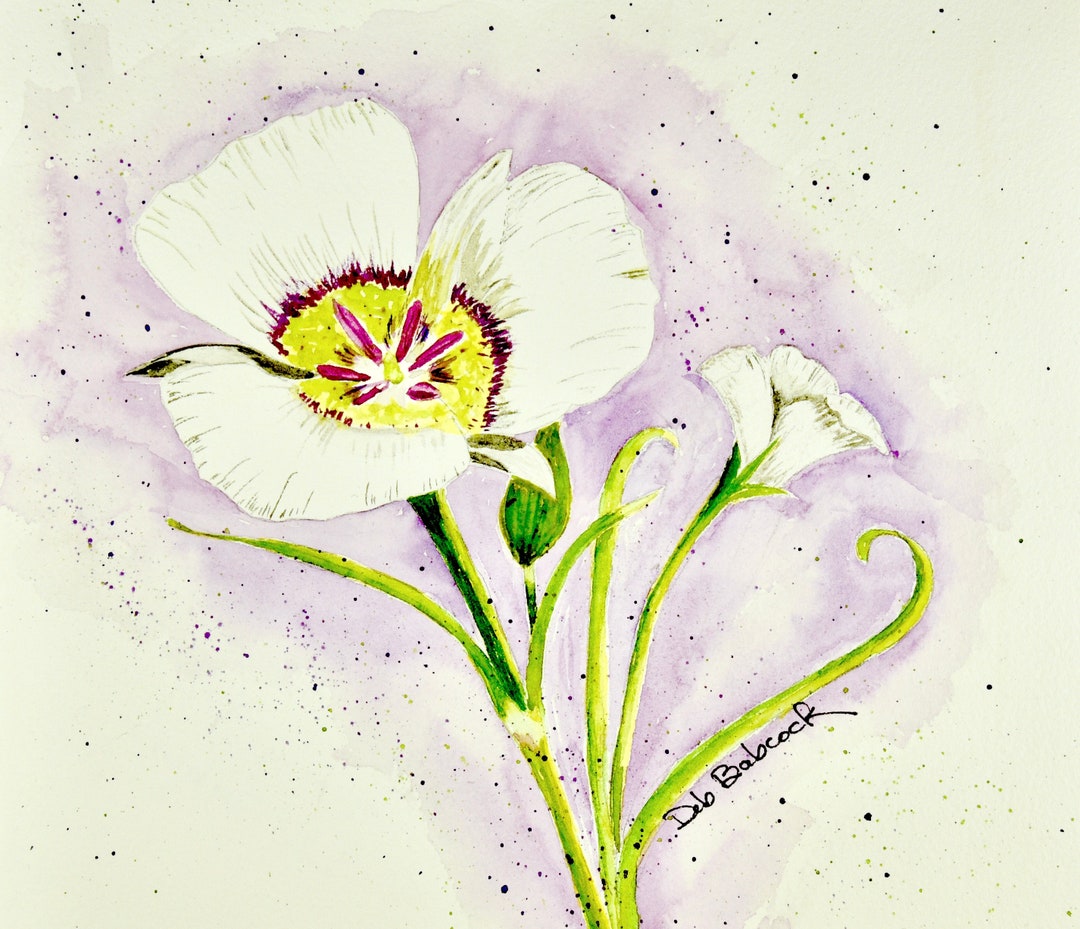 Mariposa Sego Lily: Original Watercolor Flower Artwork, Wildflower Art ...
