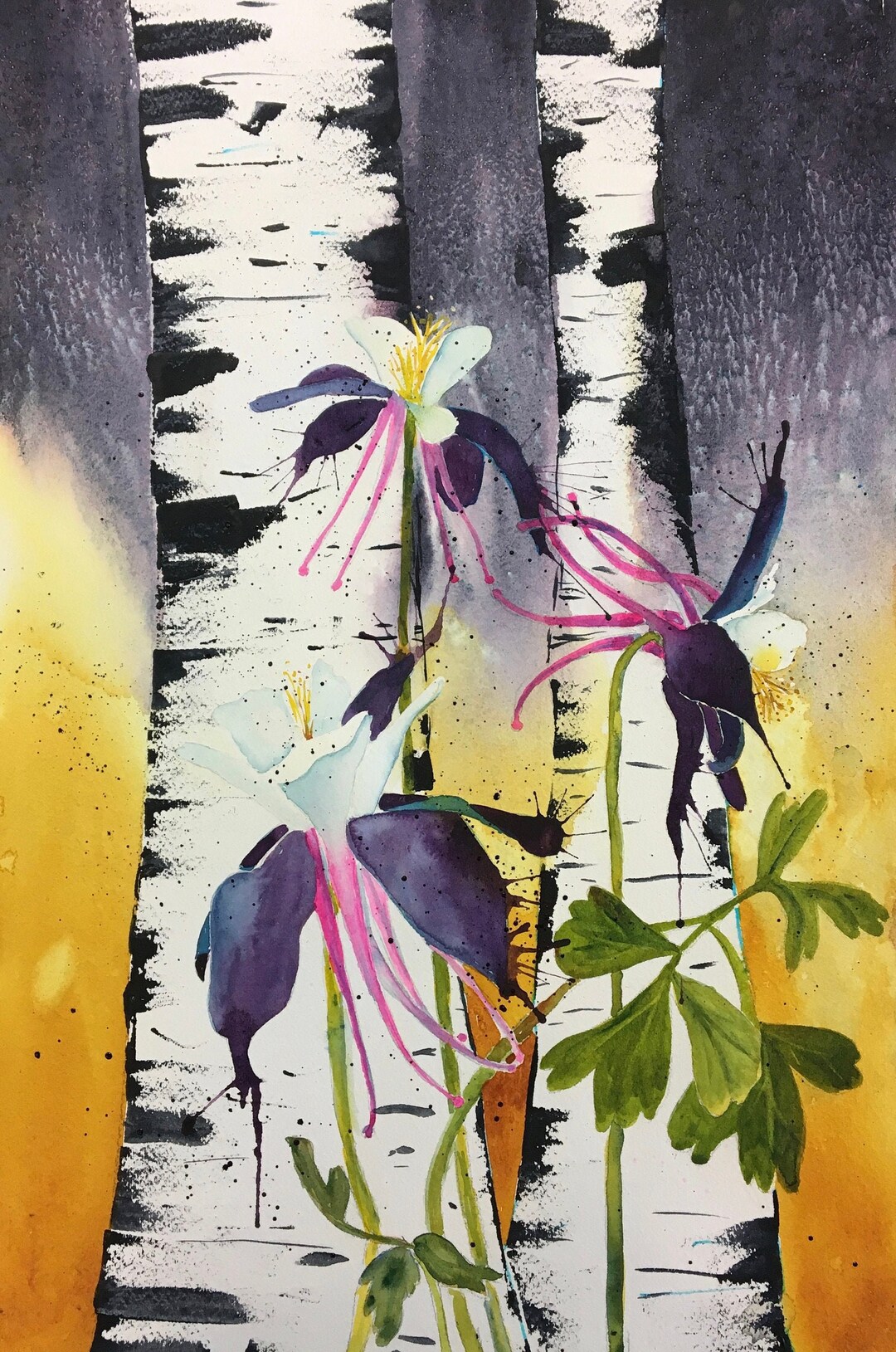 Print of Aspen Trees and Colorado Blue Columbine Flower, Moonlight ...
