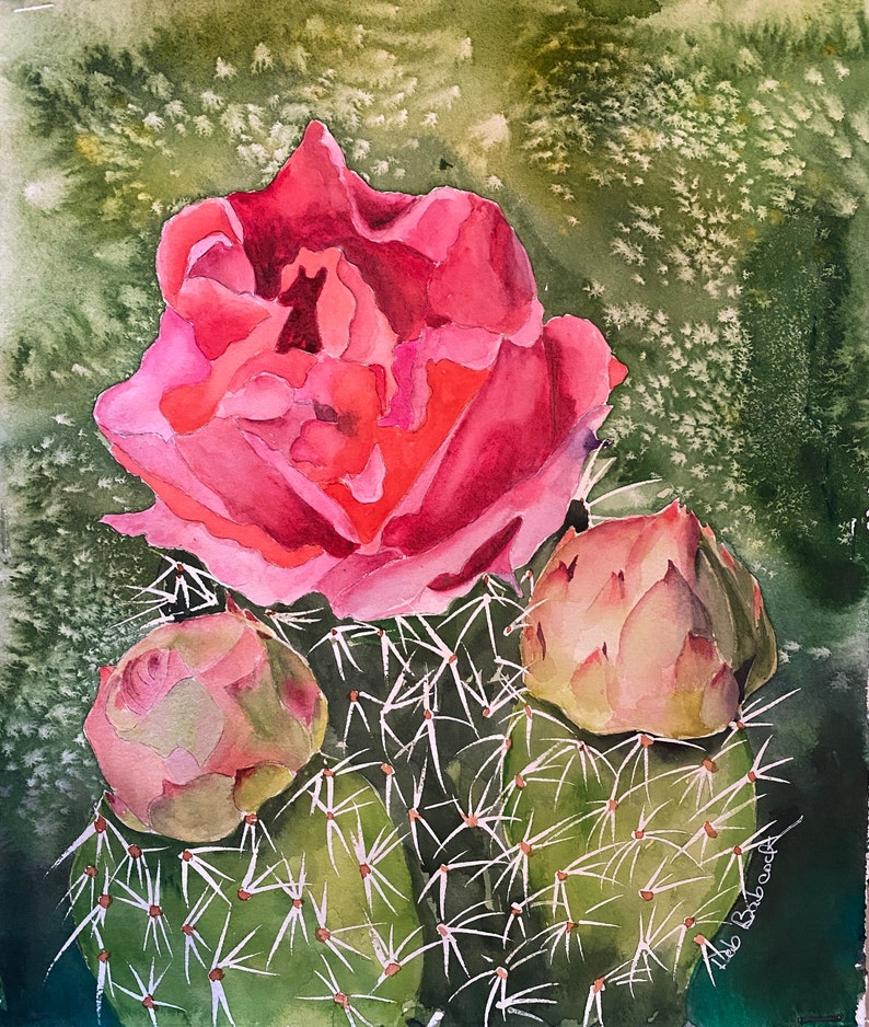 Prickly Pear Cactus Flower Giclee Print From Original | Etsy