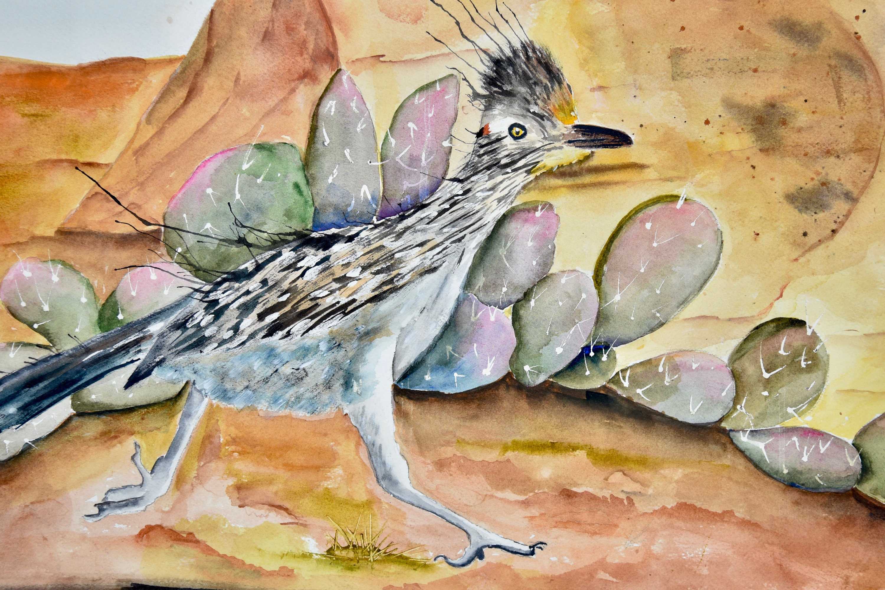 Roadrunner and Cactus Fine Art Print. Southwest Decor. - Etsy UK