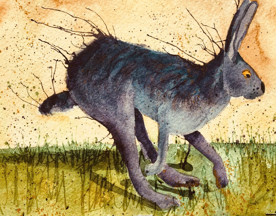 Year of the Rabbit Jackrabbit Print of My Original Watercolor Painting ...