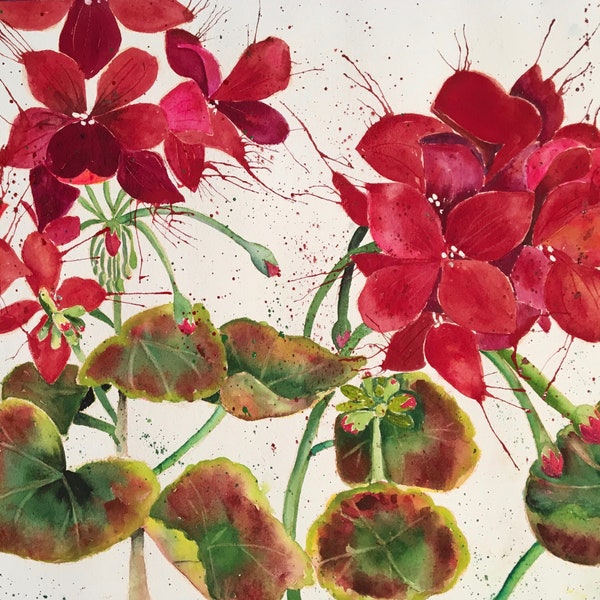 Geranium Painting - Etsy