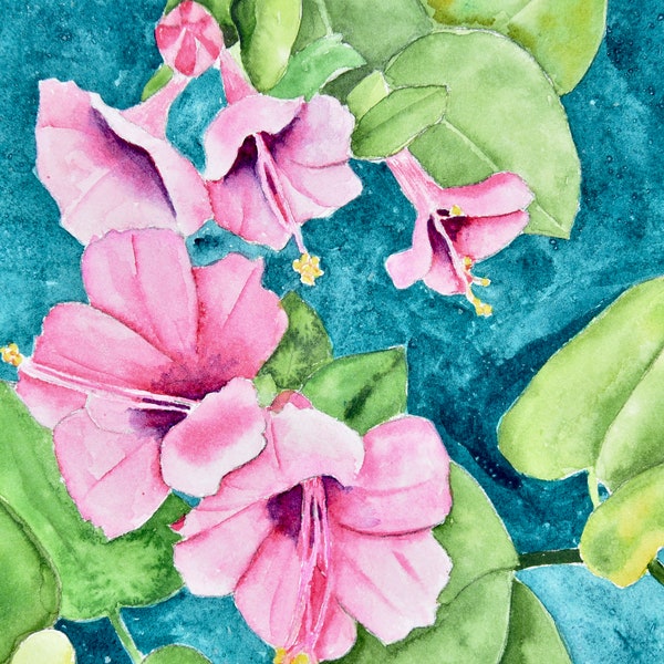 Four O'clock Flowers - Etsy