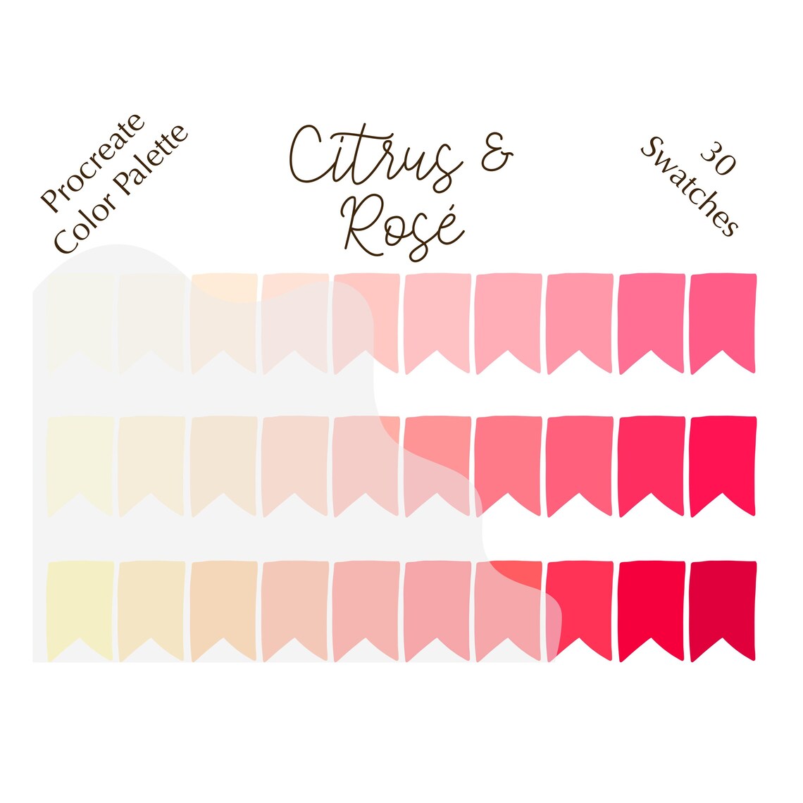 Citrus & Rosé Color Palette, Procreate Color Palette, HEX Codes - Etsy