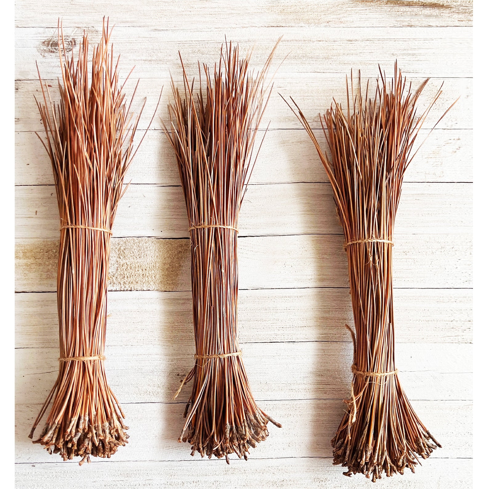 Long Leaf Pine Needles for Crafting, Basket Weaving & Coiling - Etsy