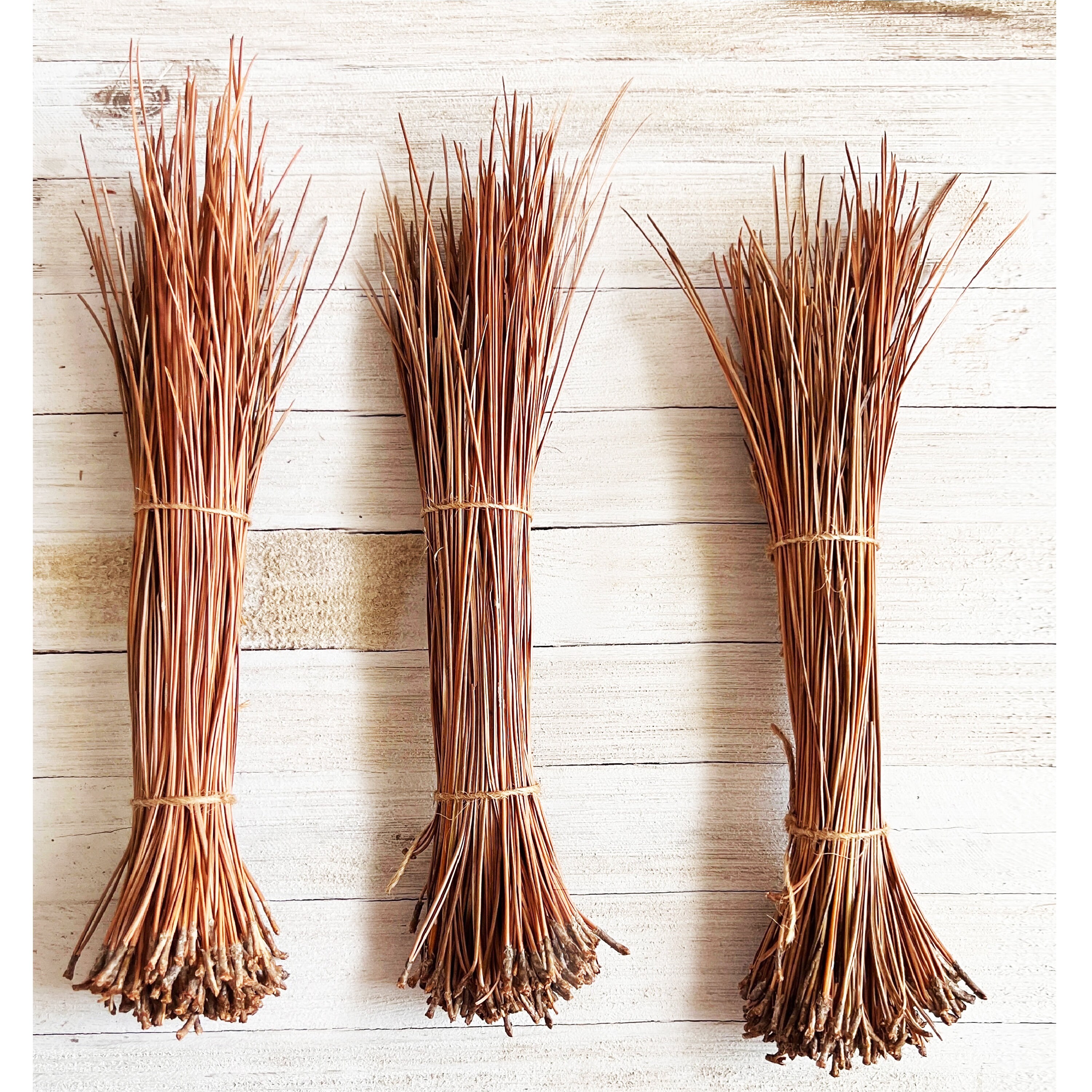 Long Leaf Pine Needles for Crafting, Basket Weaving & Coiling - Etsy