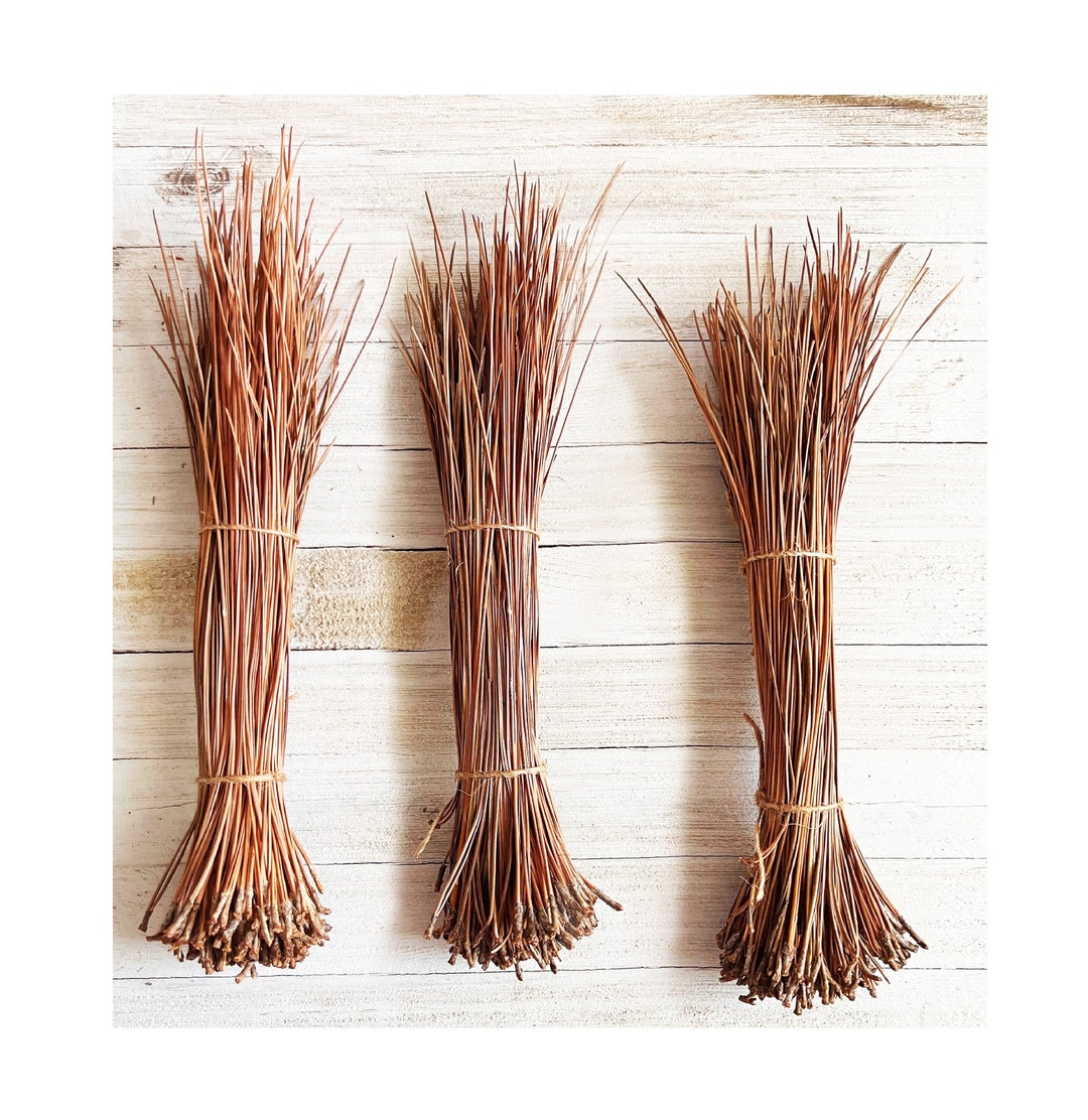 Long Leaf Pine Needles for Crafting, Basket Weaving & Coiling - Etsy