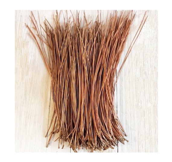Long Leaf Needles